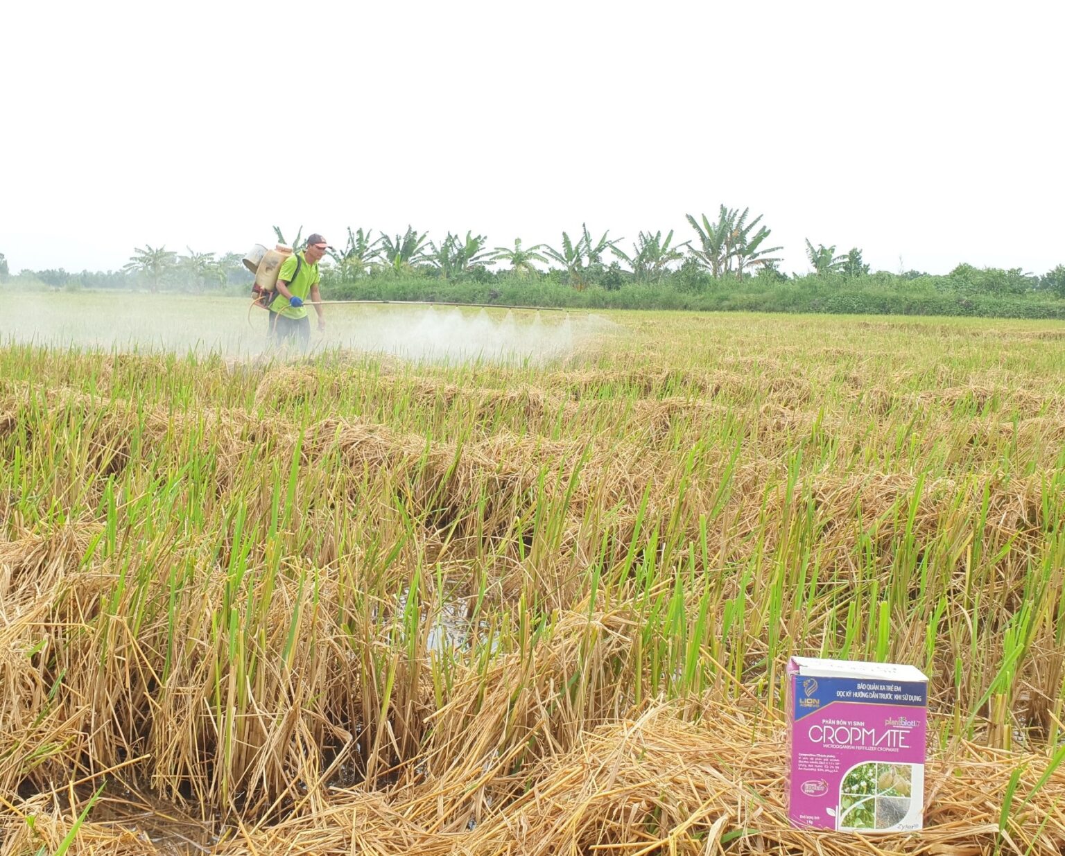 Phân bón vi sinh CROPMATE - LionAgrevo